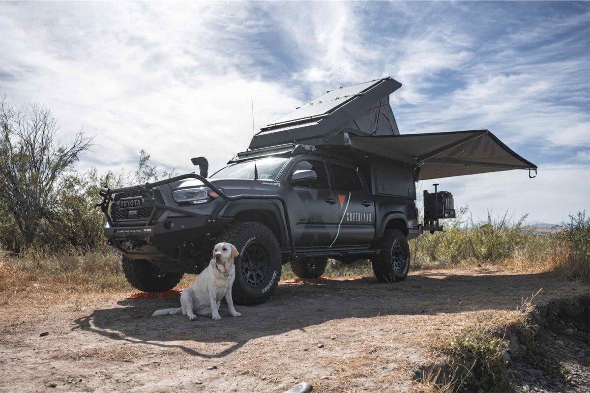 Your Overland Vehicle = the Perfect Setup for Upland Bird Hunting ...